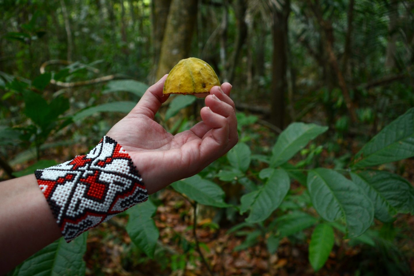 Que tal passar o réveillon com ribeirinhos, na Amazônia? - #Colabora