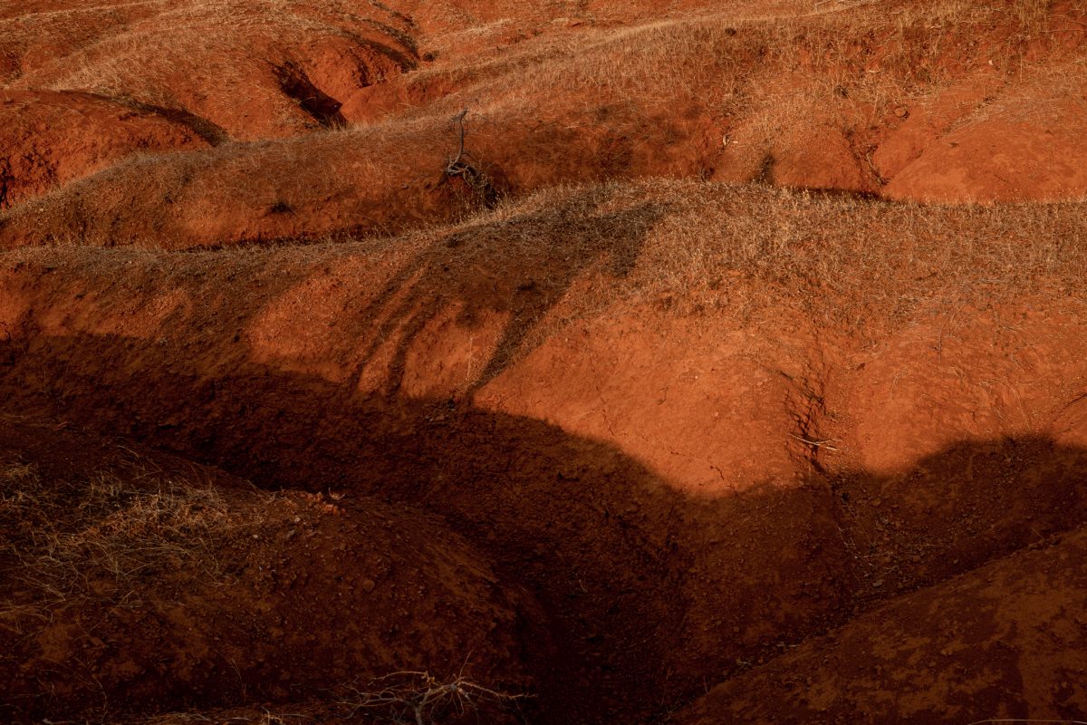 E o homem criou um deserto no Cerrado